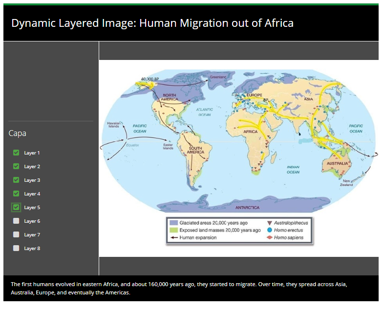 Dynamic Layered Image – Acrobatiq